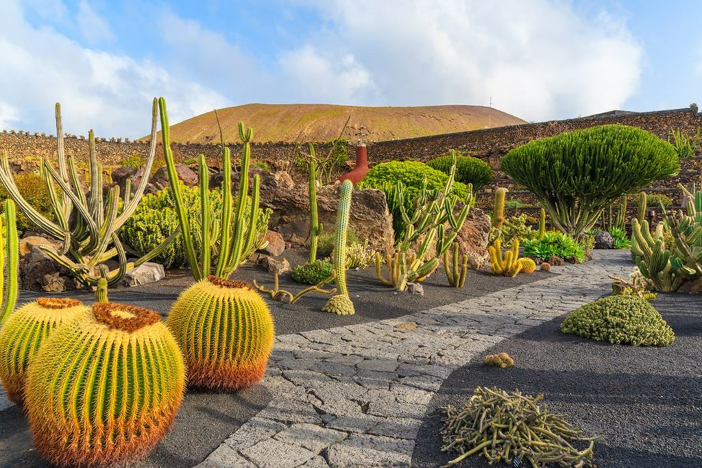 Combiné THB Flora 3* by Ôvoyages & Smart club SMY Tahona 3 ...